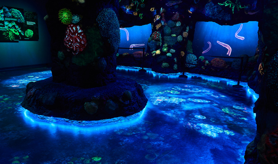 Laser Projectors a guide